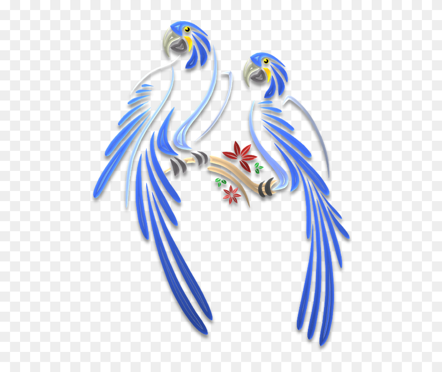 Download Parrots Illustrations Art & Islamic Graphics - Parrot ...