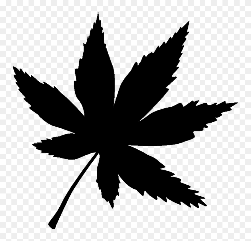 Download Transparent Marijuana Leaf Clipart - Marijuana Svg - Png ...
