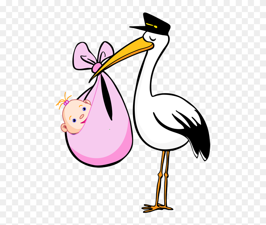 Stork Vector Clipart - Baby Girl Stork Clipart - Png Download (#5574400 ...