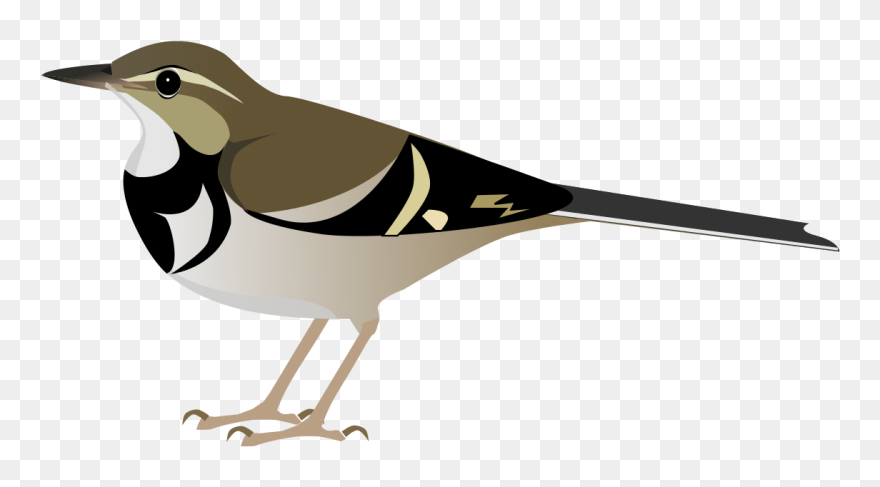 Download Transparent Mockingbird Clip Art - Mockingbird Pixelart - Png ...