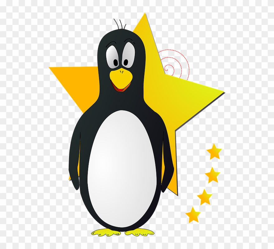 Penguin Clip Art - Png Download (#560358) - PinClipart