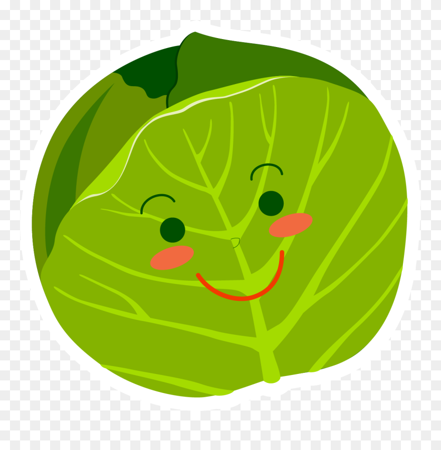 Cabbage Cartoon Free Png Clipart (#5604489) - PinClipart