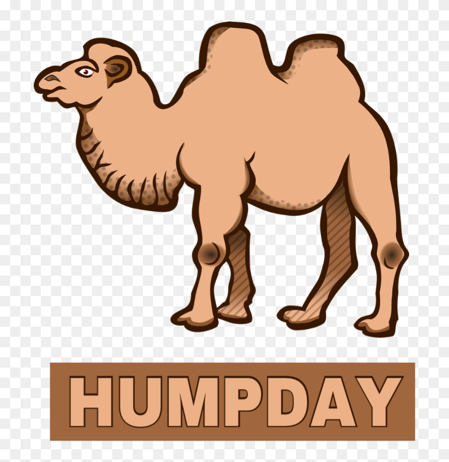 #ftestickers #camel #wednesday #humpday#freetoedit - Dromedary Clipart ...
