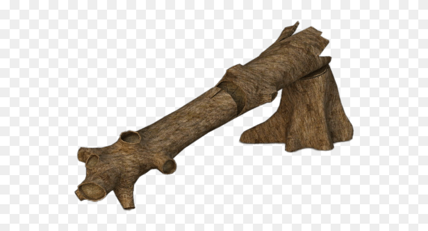 Download Tree Trunk Clipart Fallen - Fallen Tree Trunk Clip Art - Png ...