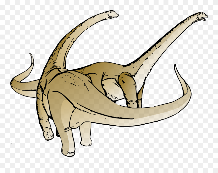 Download Dinosaur Alamosaurus Clip Art - Clip Art - Png Download ...