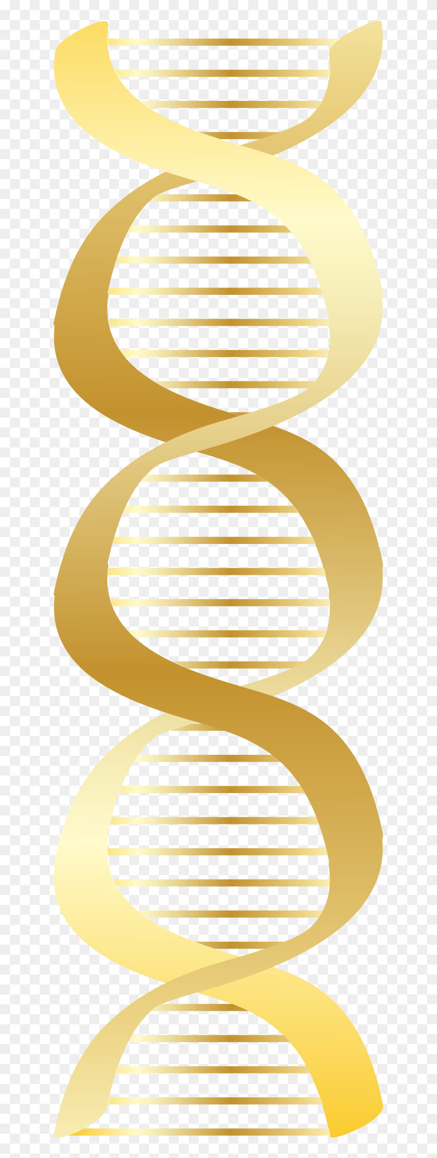 Dna Clip Art Free Clipart Images - Clip Art - Png Download (#5624082 ...