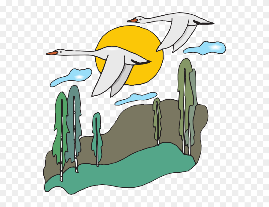 Animal Migration Clipart - Png Download (#5640235) - PinClipart