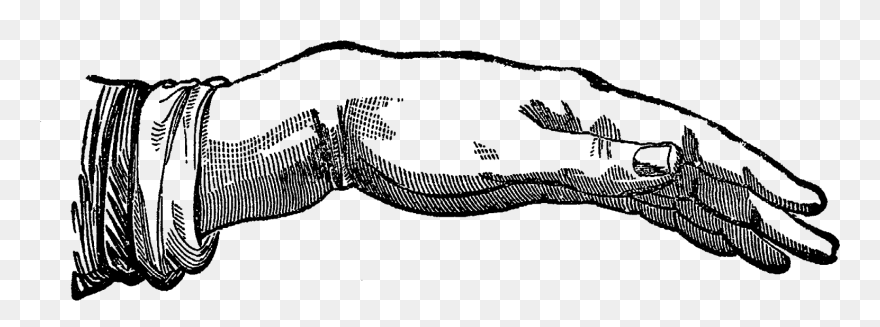 Transparent Relaxed Clipart - Vintage Hand Illustration - Png Download ...