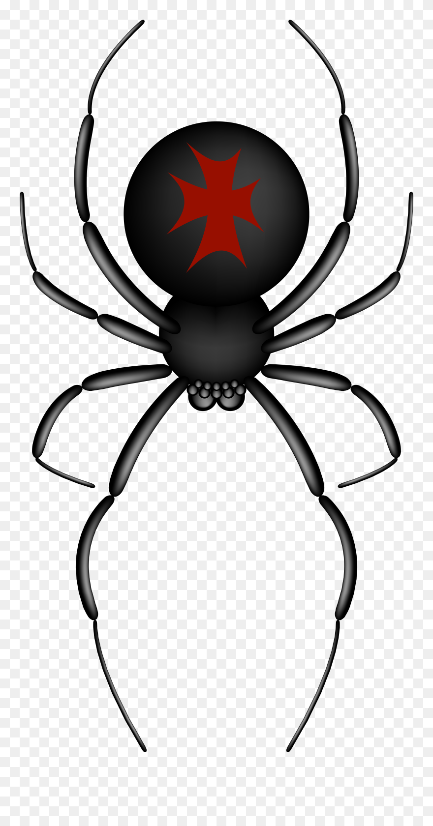 Download Insects & Spiders Spider Web Clip Art - Cartoon Transparent ...