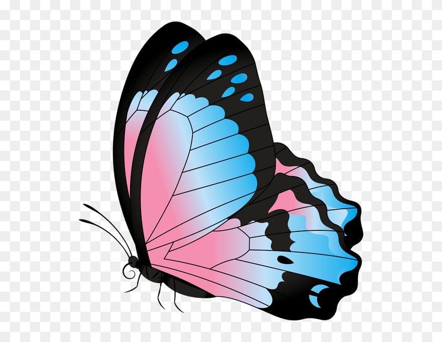 Download Legs Clipart Voet - Butterfly Clipart Transparent - Png ...