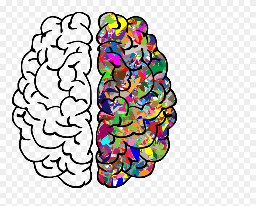 Left Right Brain Png Clipart (#5651039) - PinClipart