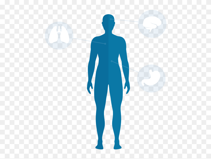 Body Blue Well Of - Human Body Blue Png Clipart (#5658328) - PinClipart