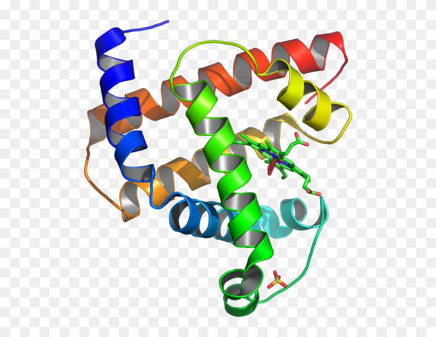 3d Protein Structure Clipart (#5666448) - PinClipart