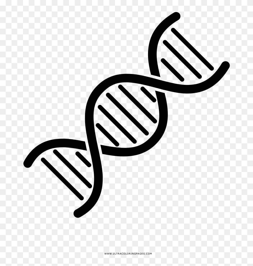 Dna Structure Coloring Sheet Coloring Pages