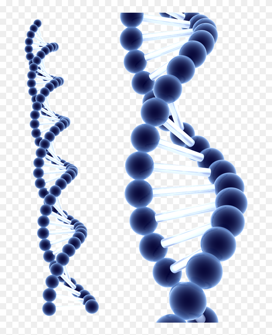 Dna Png Clipart - Dna .png Transparent Png (#5666506) - PinClipart