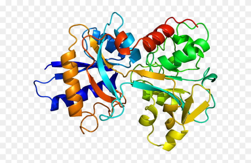 Image - Active Metal Site Enzyme Clipart (#5666696) - PinClipart