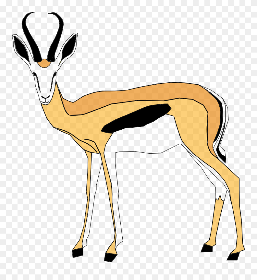 Springbok Face Transparent Background Clipart (#5671605) - PinClipart