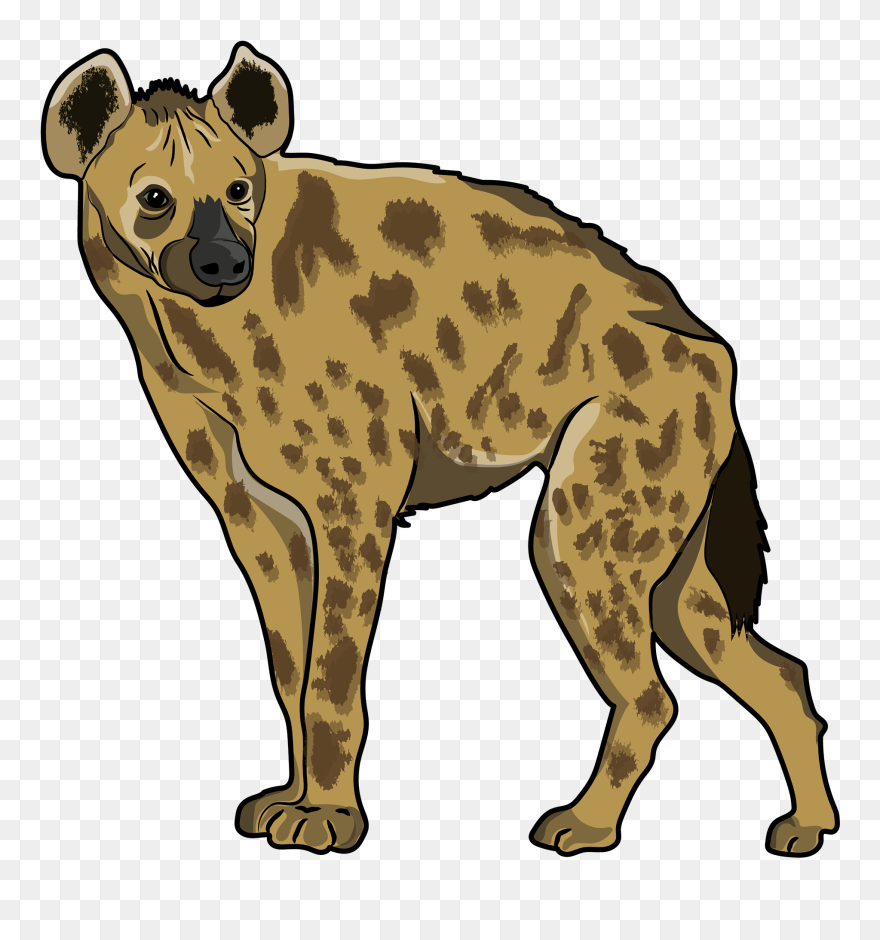 Spotted Hyena Clipart (#5682487) - PinClipart