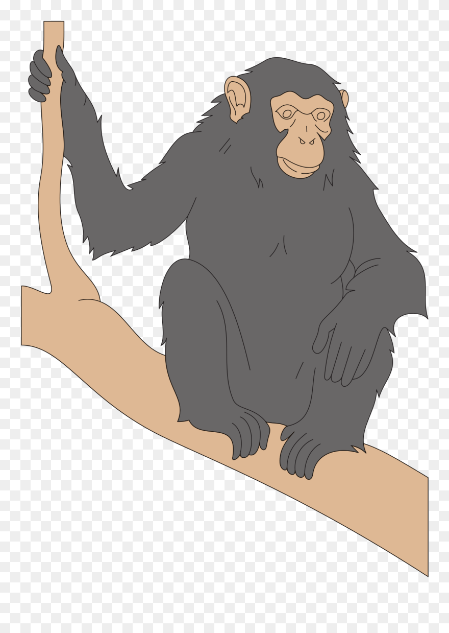 Chimpanzee Clipart (#5686140) - PinClipart