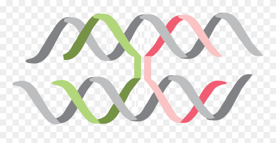 Download Graphic Design Clipart (#5693153) - PinClipart