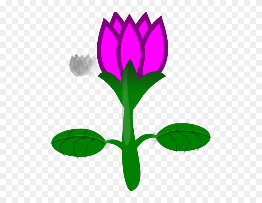 No Background Cartoon Flower Clipart (#5694745) - PinClipart