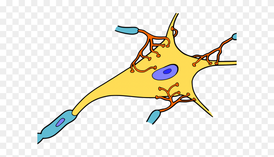Nerve Clipart Png Transparent Png (#5695027) - PinClipart