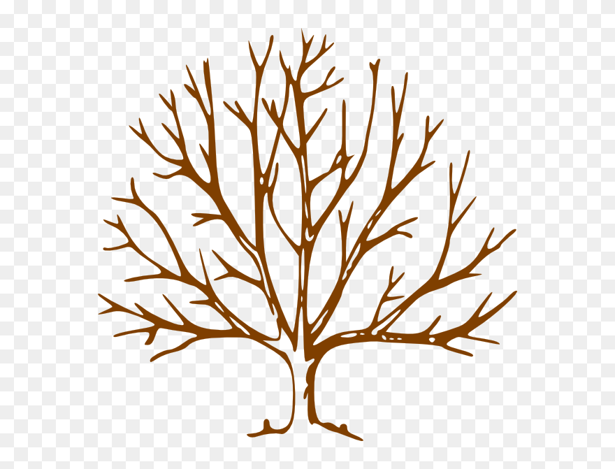 Clipart Tree Trunk - Png Download (#5699847) - PinClipart