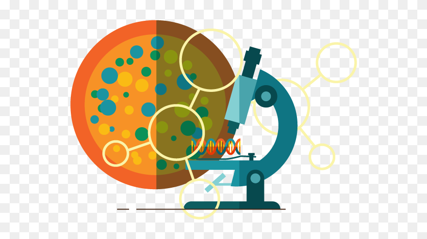 Free Field Work - Interdisciplinary Research Icon Clipart (#5717286 ...