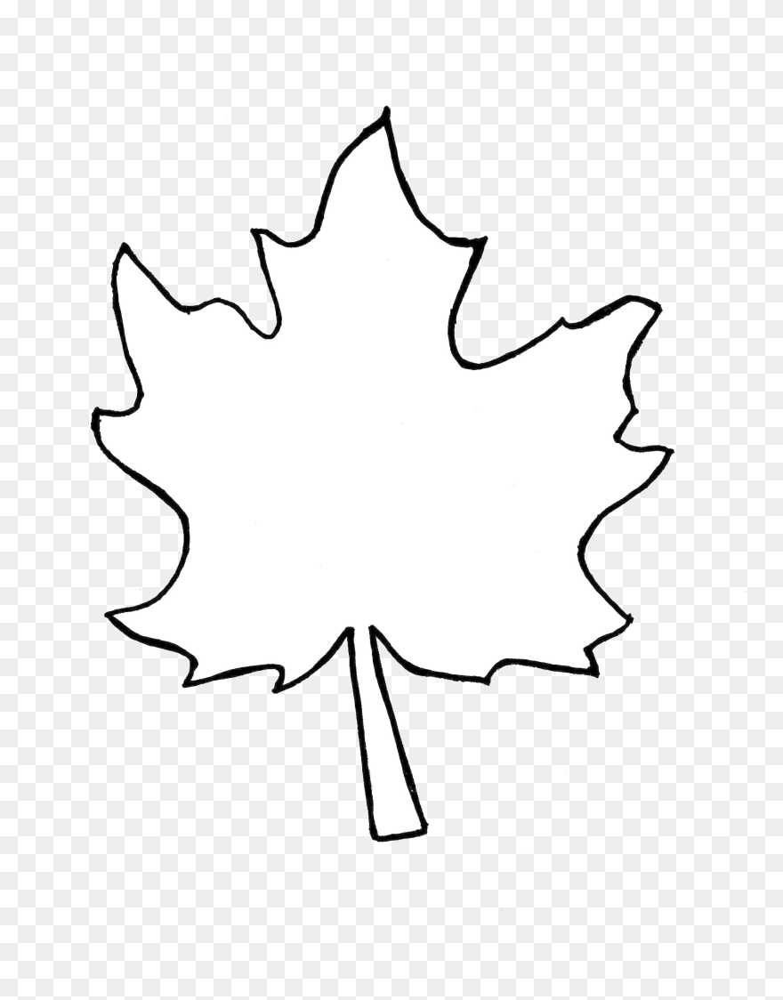 Download Leaf Outline Collection Fall Leaves Pictures Transparent ...