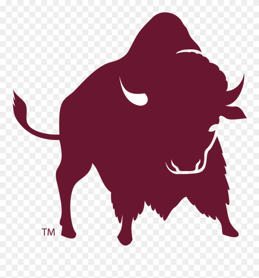 Lights%2c Camera%2c Action All Discussed In Upcoming - Wtamu Buffalo ...