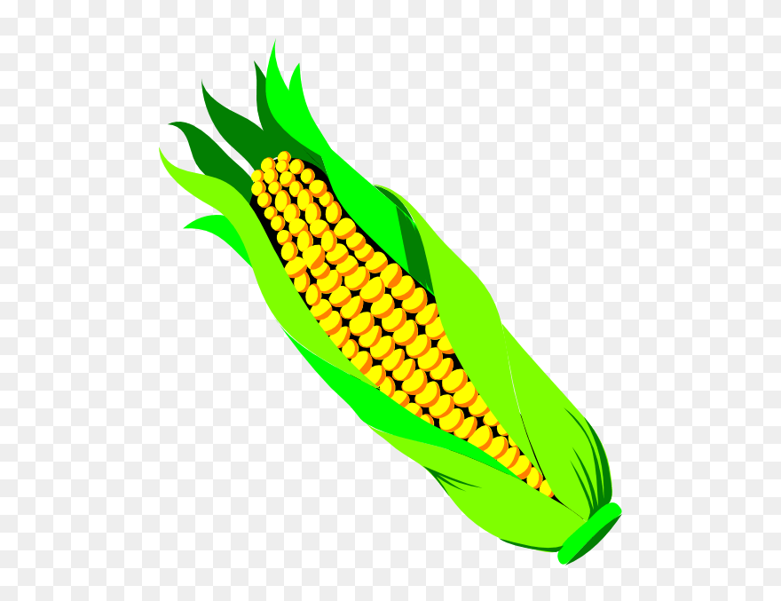 Corn On The Cob Clip Art - Vegetable Clip Art - Png Download (#5734855 ...