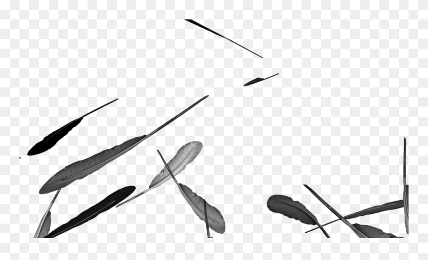 Feathers Clipart Royalty Free - Clipart Of Feathers Falling - Png ...