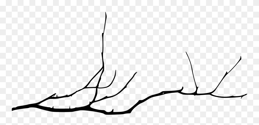 Simple Tree Branch Silhouette Clipart (#5740850) - PinClipart