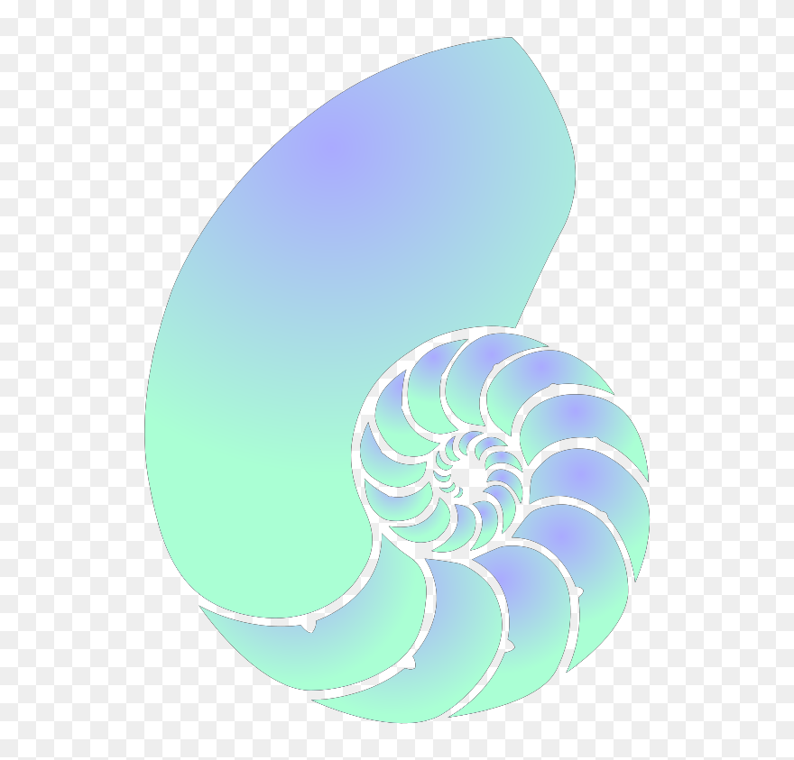 Chambered Nautilus Clipart (#5747462) - PinClipart