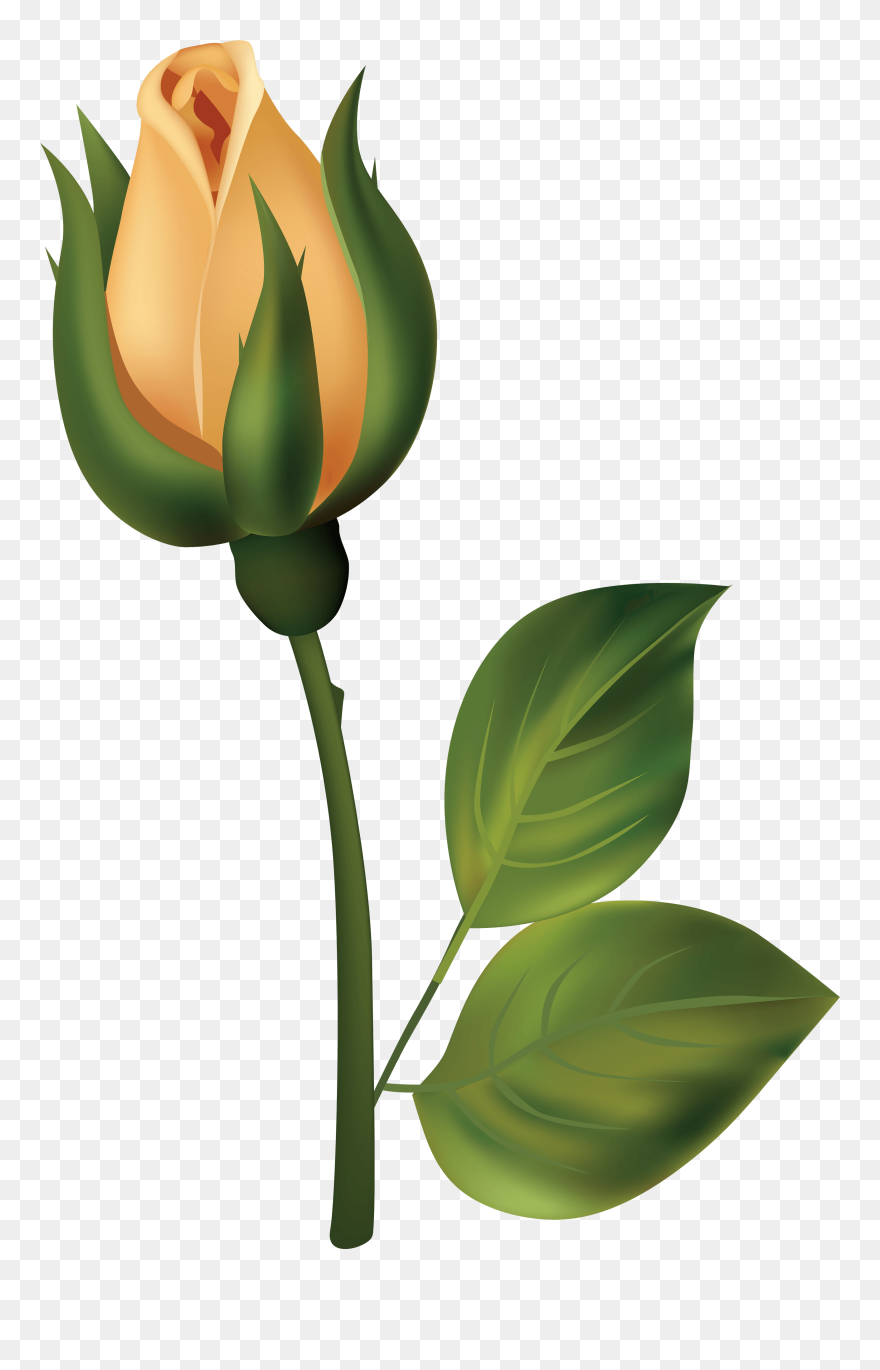 Yellow Rose Bud Clip Art