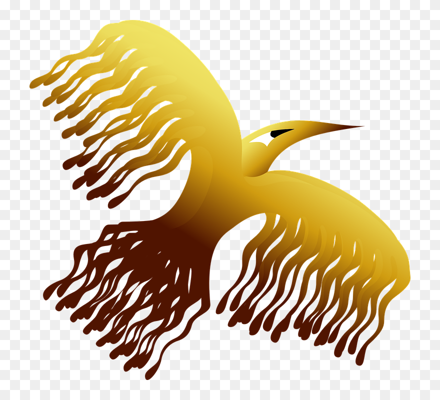 Download Transparent Phoenix Clipart - Vektör Anka Kuşu Png (#5789621 ...