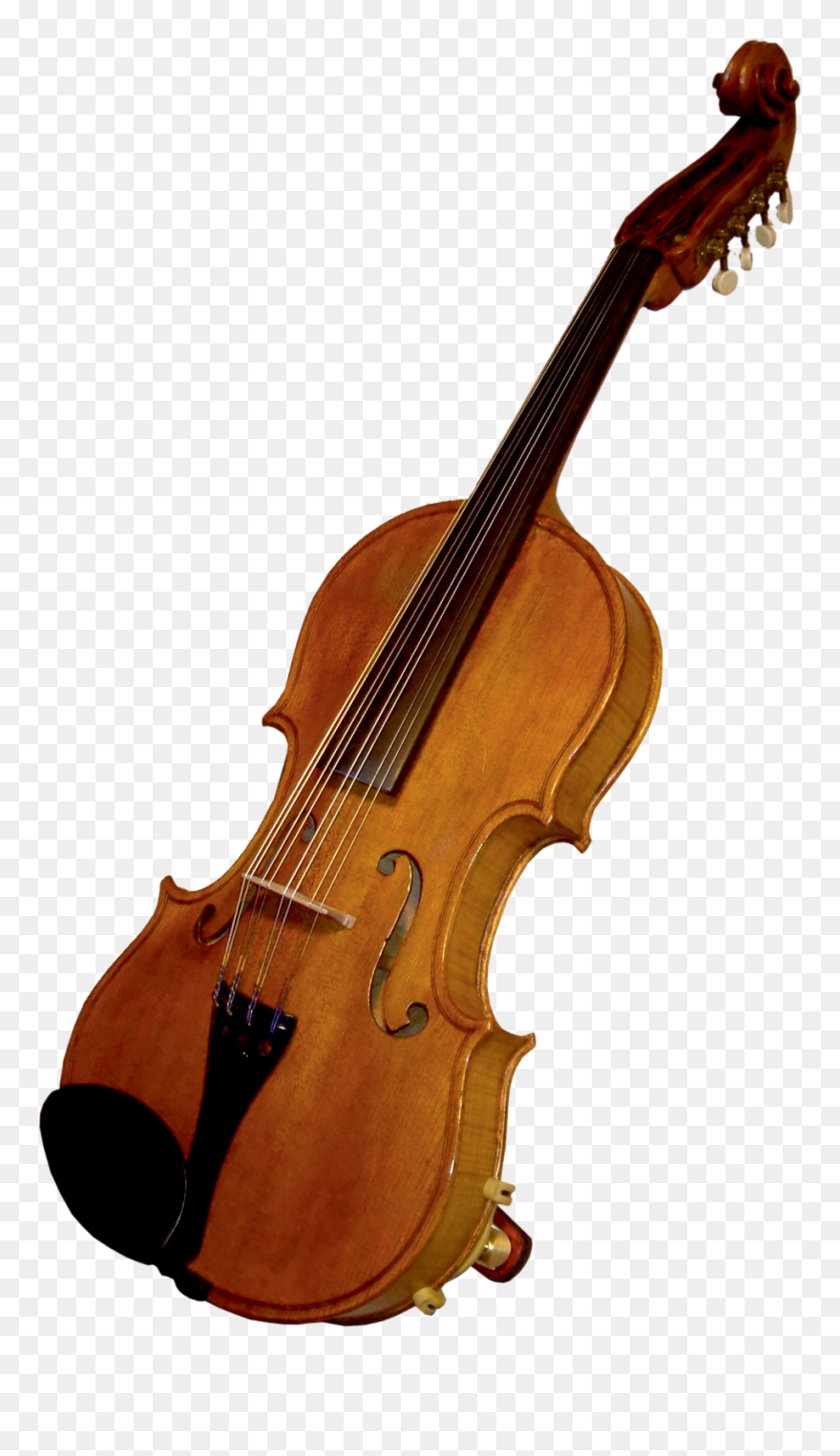 Fiddle Irish Traditional Instruments Clipart (#5797429) - PinClipart