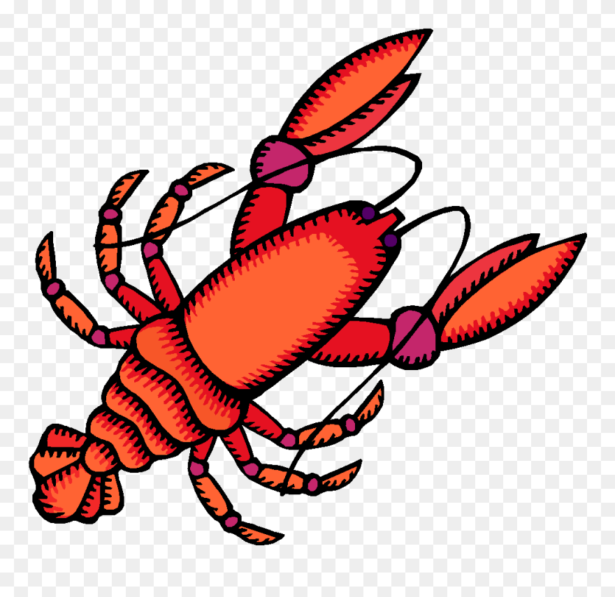 Crawfish Clipart Yabbie - Yabby Clipart - Png Download (#5798999 ...