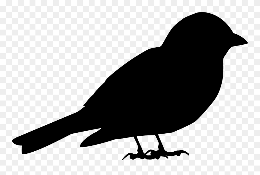 Download Sparrow Bird American Song - Transparent Sparrow Clip Art ...