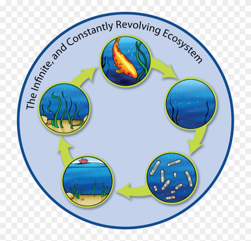 Download Waterfalls Drawing Pond - Balanced Ecosystem Clipart (#591743 ...