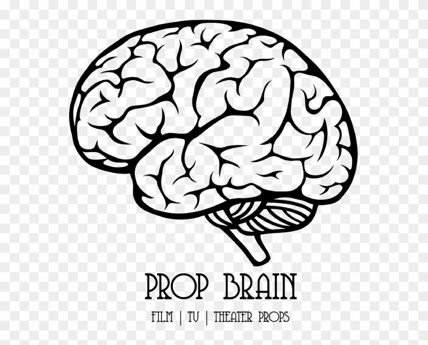 Thumbnail Image - Brain Side View Vector Clipart (#606689) - PinClipart