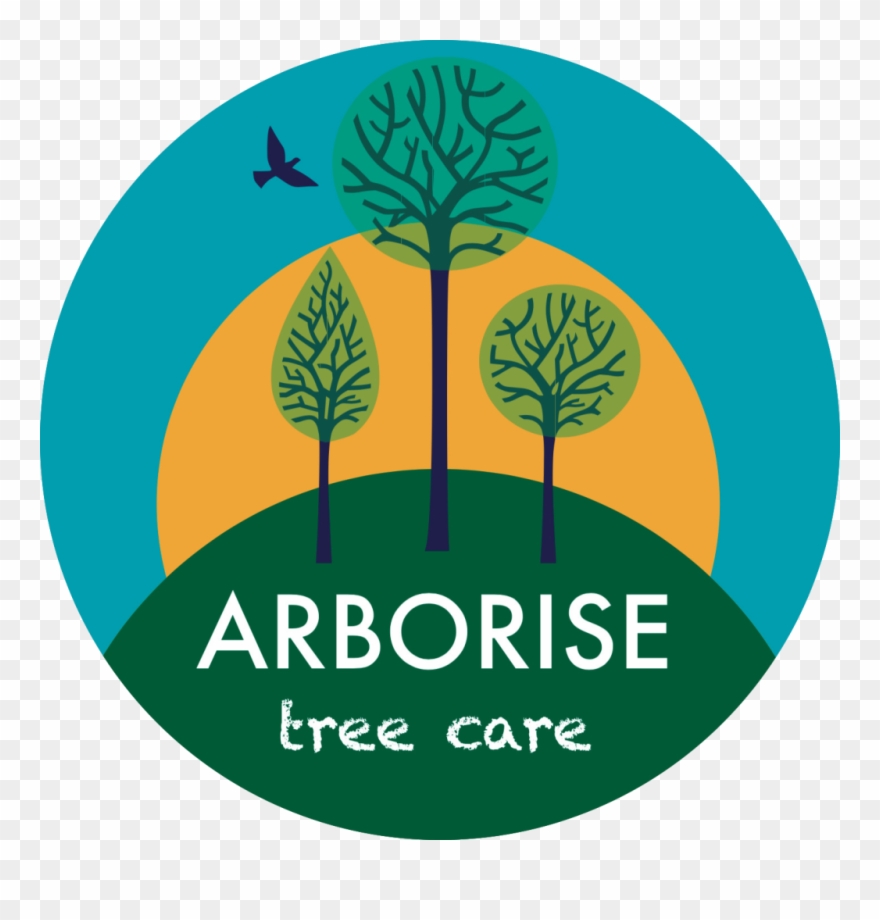Arborise Tree Care Clipart (#621777) - PinClipart