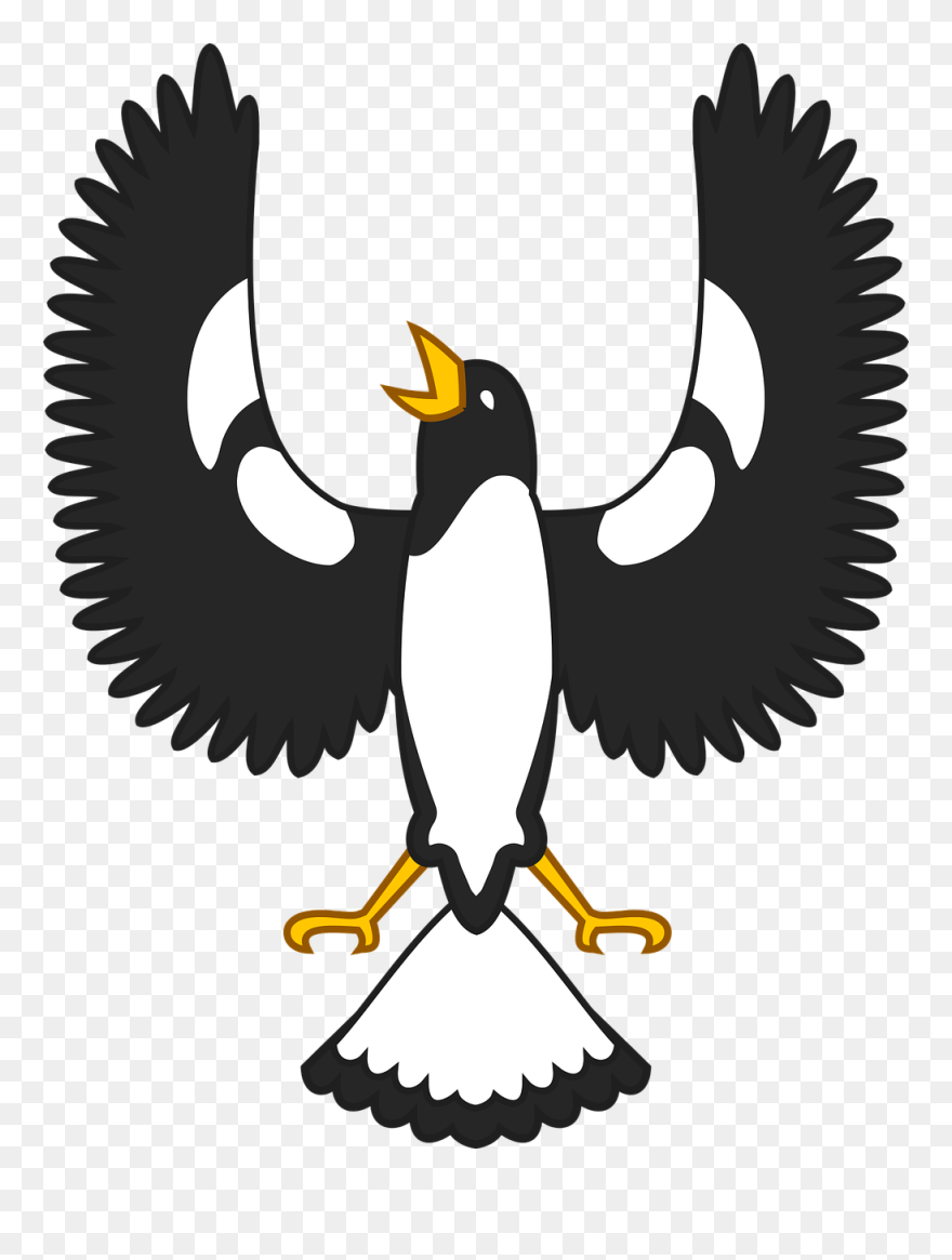 Download Shrike,shrike,free - Shrike Clip Art - Png Download (#632676 ...