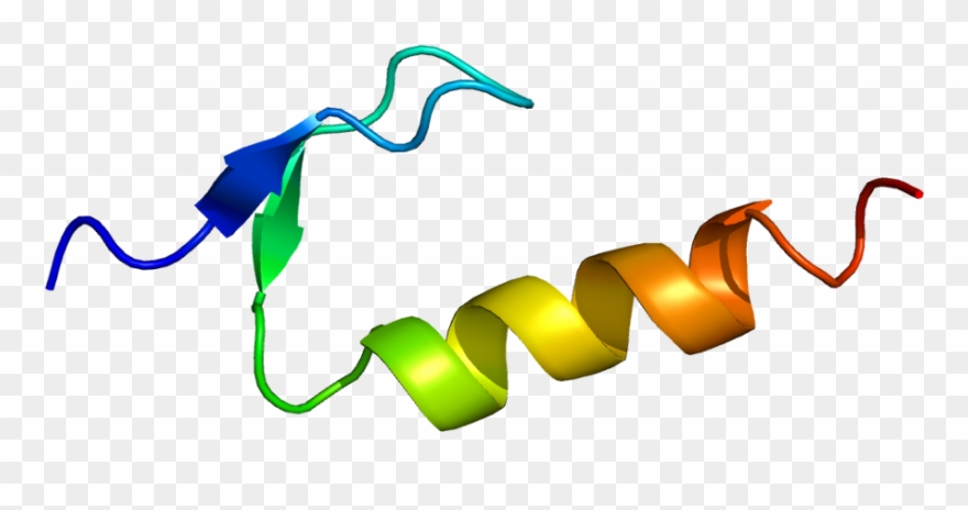 Dna Clipart Dna Replication - Polh Gene - Png Download (#640998 ...