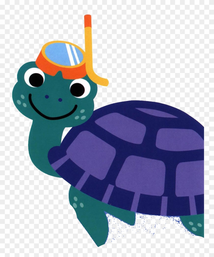 Neptune The Turtle Turtle, Projects To Try, Tortoise, - Baby Neptune ...