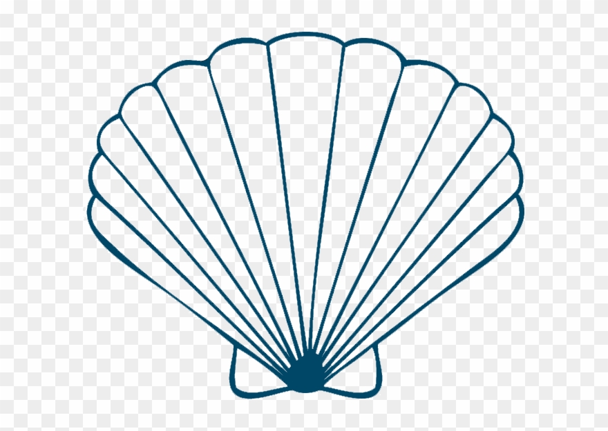 Download Sea Shells On Seashells Shells And Conch Clipart - Draw A ...