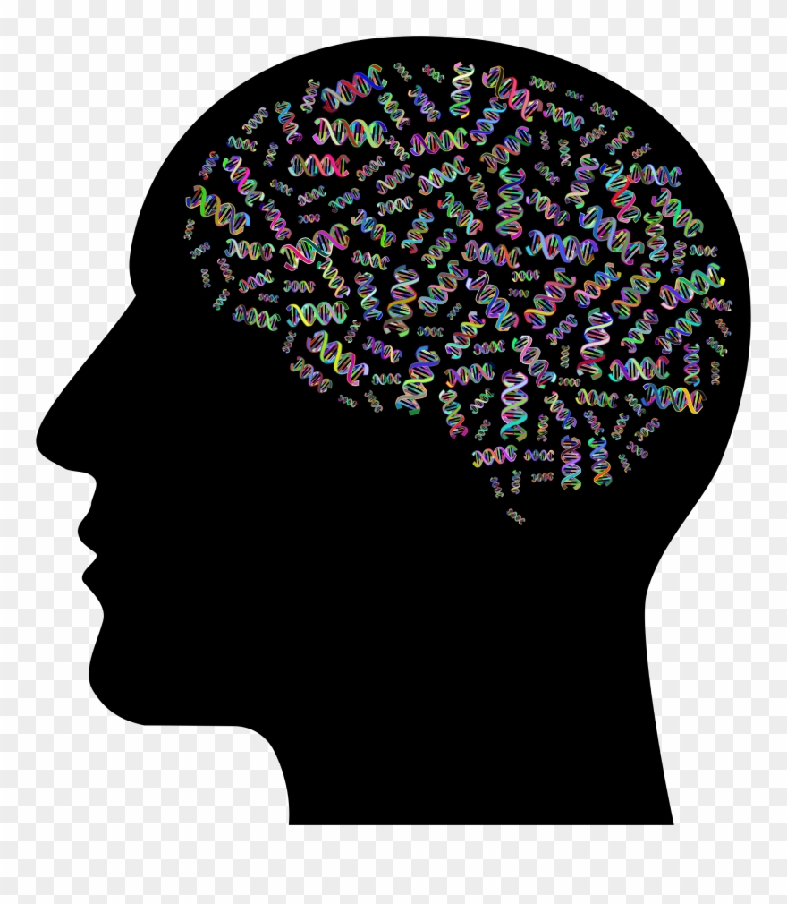 Big Image - Brain Clipart - Png Download (#700354) - PinClipart
