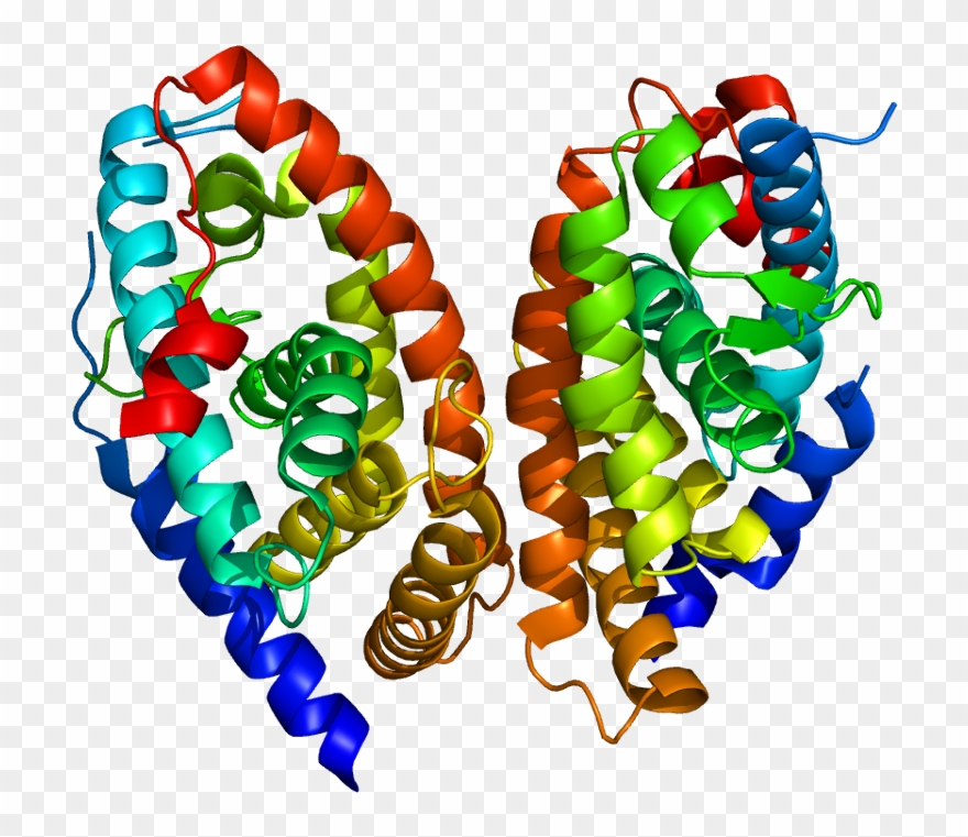 Protein Rara Pdb 1dkf - Hemoglobin Protein Clipart (#700467) - PinClipart