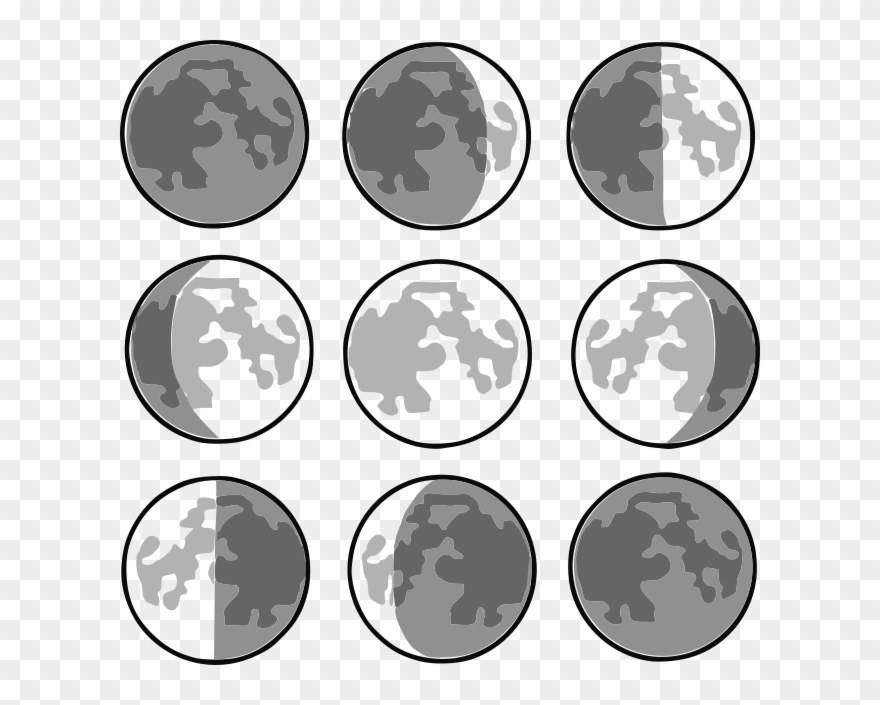 Download 8 Phases Of The Moon Clipart (#726034) - PinClipart