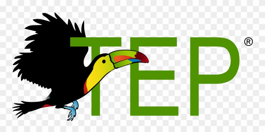 Piciformes Clipart (#731056) - PinClipart